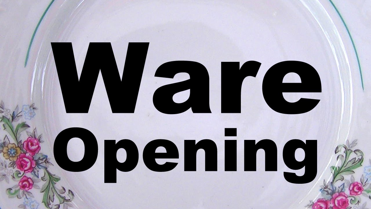 How to Play the Ware Opening!