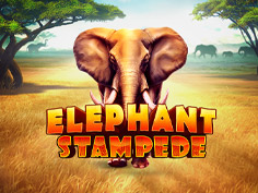 Elephant Stampede Slot Game | Play Elephant Stampede Slot Demo Online
