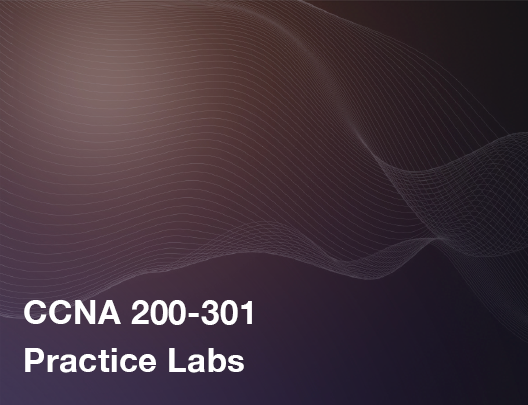 Master CCNA 200-301 with INE's New Practice Labs Course