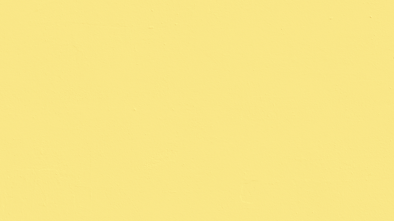 Yellow 06: Daffodil Yellow Paint - Eggshell Paint | Lick