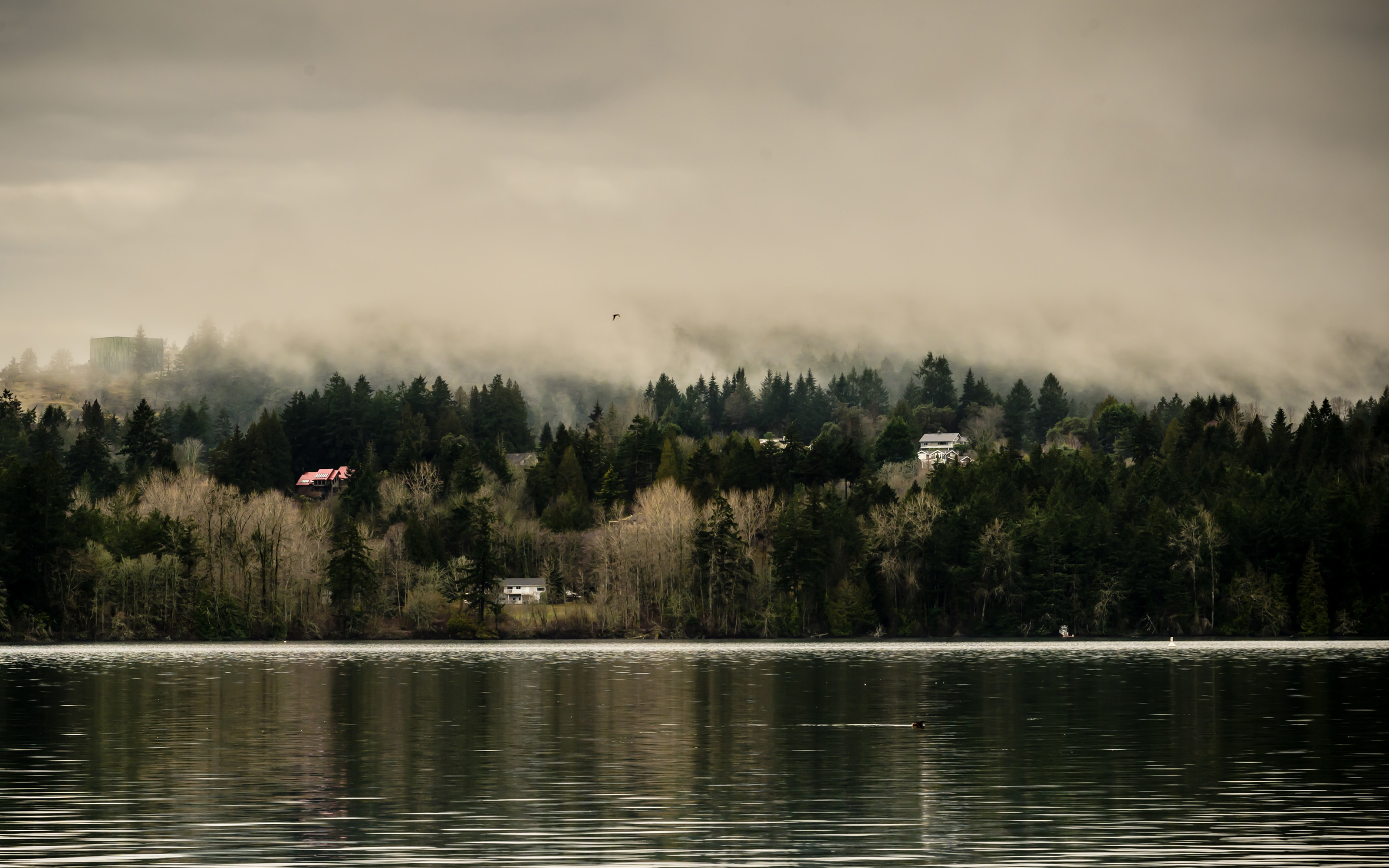 the victoria rennie advance | November 2024