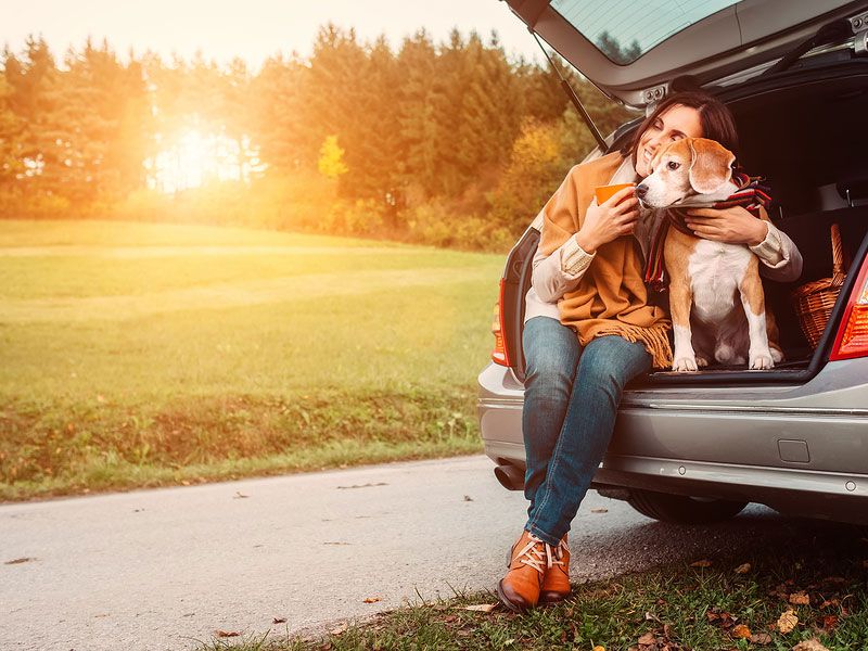 10 Tips for Buying Last Year's Car Model | Autoweb