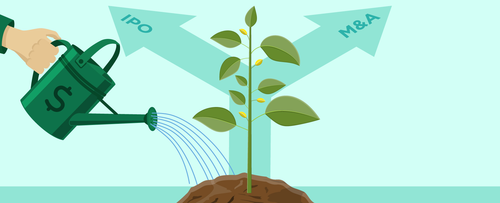 BioCentury - Qiming looks to tap China’s public biotech boom