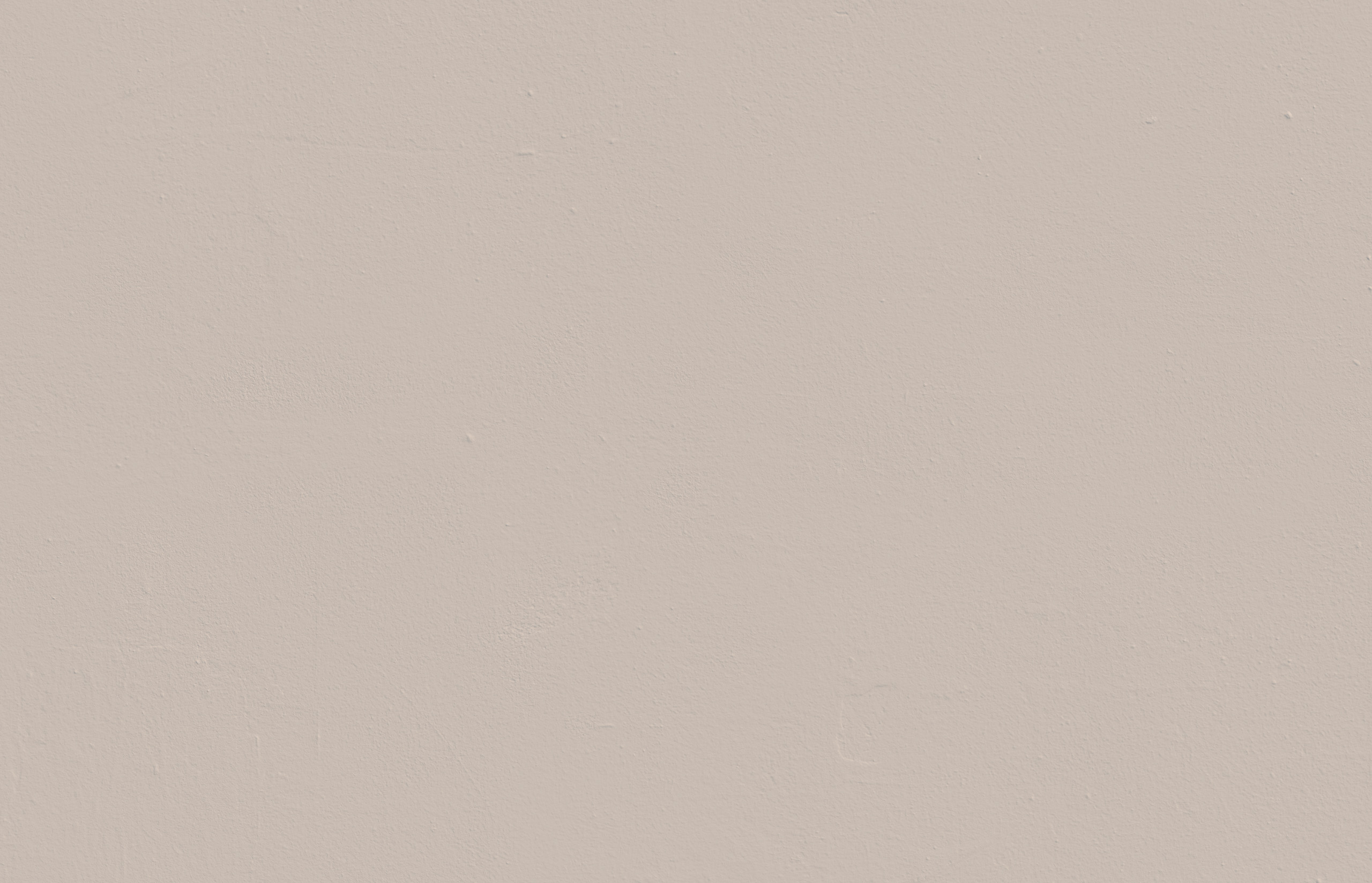 Taupe 05: Brown Grey Paint - Matt Paint | Lick